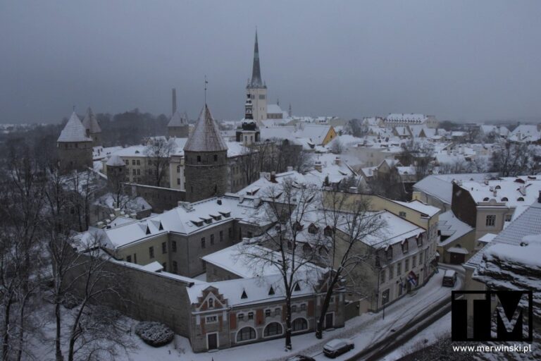 Tallin. Zwiedzanie o dowolnej porze i… pogodzie | Tomasz Merwiński